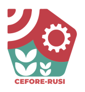 CENTRE DE FORMATION POLYTECHNIQUE ET DE RECONVERSION PROFESSIONNELLE DE RUSI - CEFORE-RUSI | v2sdf